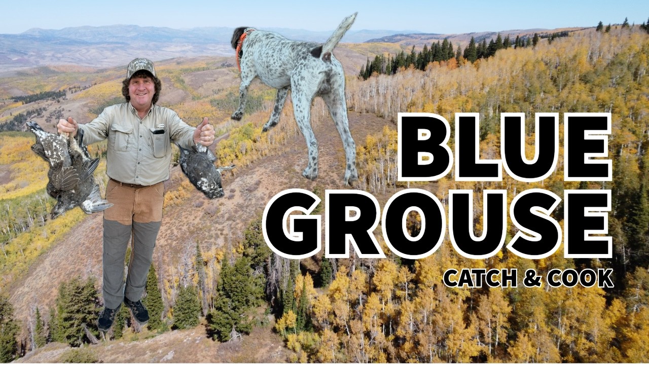Blue Grouse Hunting! Catch Clean Cook! - YouTube