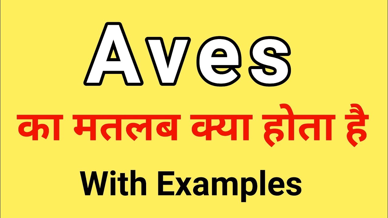 Aves Meaning in Hindi | Aves ka Matlab kya hota hai | Word Meaning ...