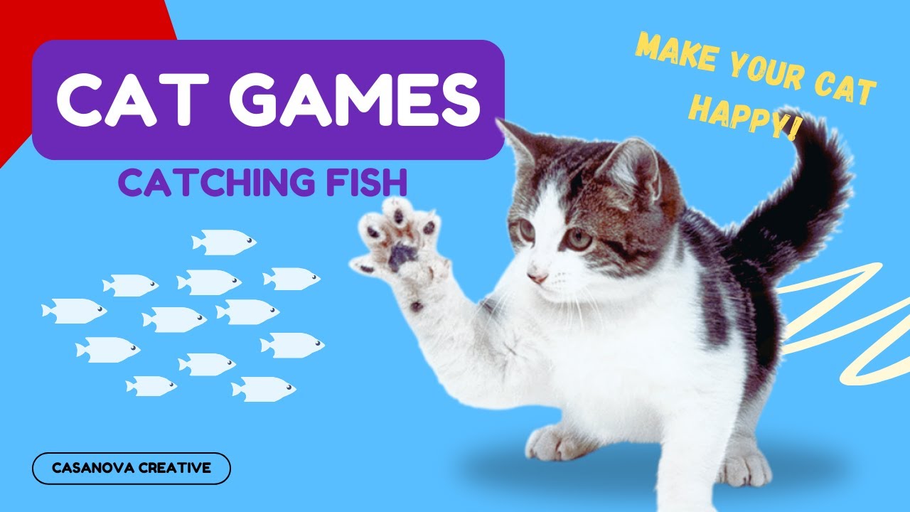 CAT GAMES - Catching Fish | Video For Cats - YouTube