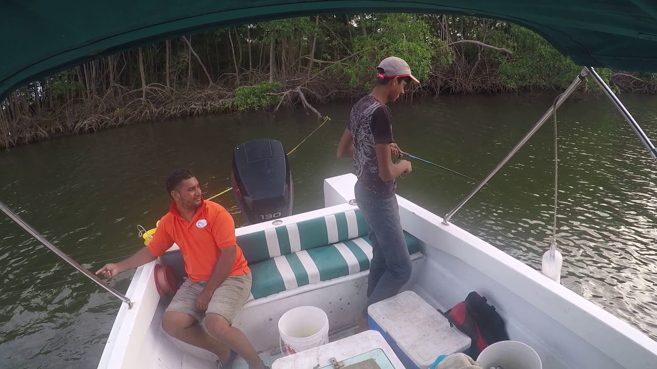 Fishing Blooper @ Felicity river Trinidad 😂😂 - YouTube