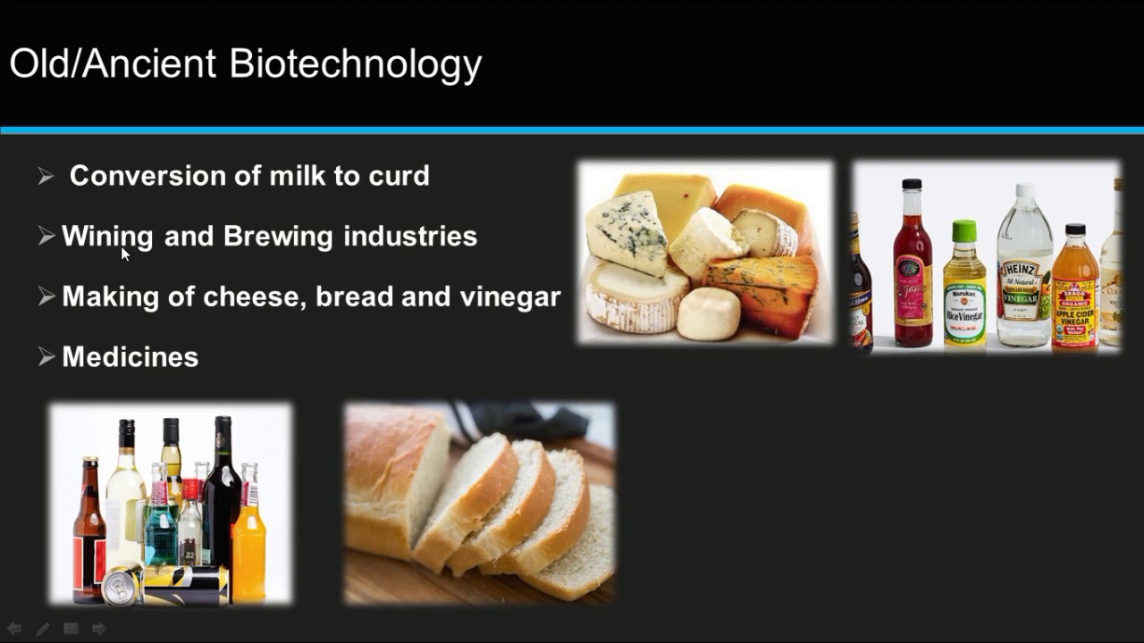 Biotechnology- Old and Modern Concept - YouTube