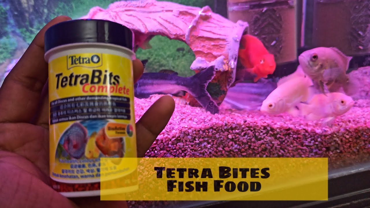 Tetra Bites Complete Fish Food || Hard Fish Food - YouTube