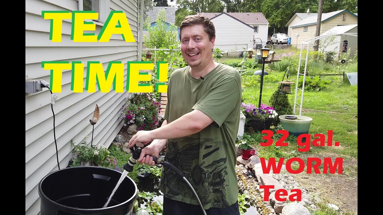 HOW to Make Compost Tea / Worm Tea [32 Gallons!] - YouTube