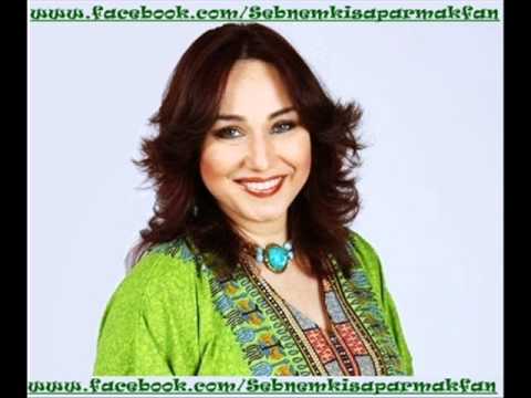 Şebnem Kısaparmak-Bir Hastane Odasında