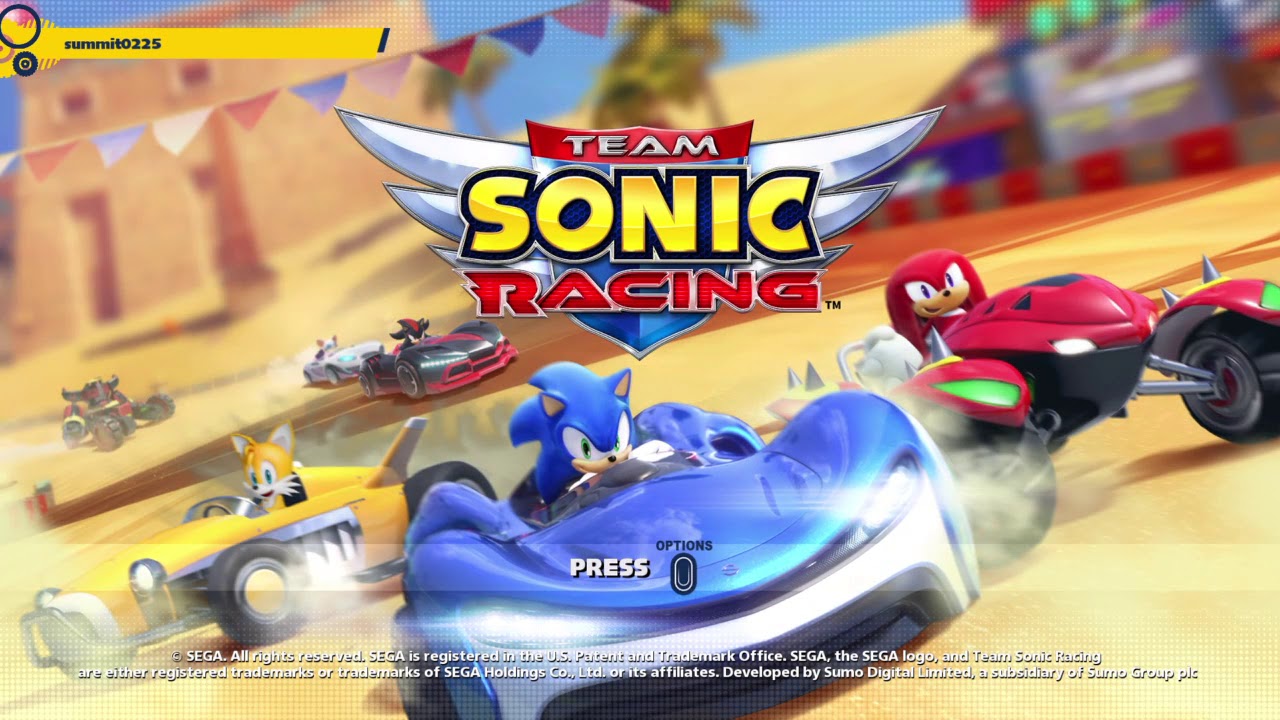 Sonic and shadow Are about to be defeated by me in racing ,team sonic ...