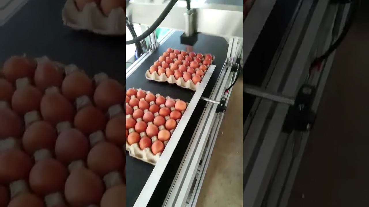 ECJET1000 CIJ printer for eggs printing 2 - YouTube