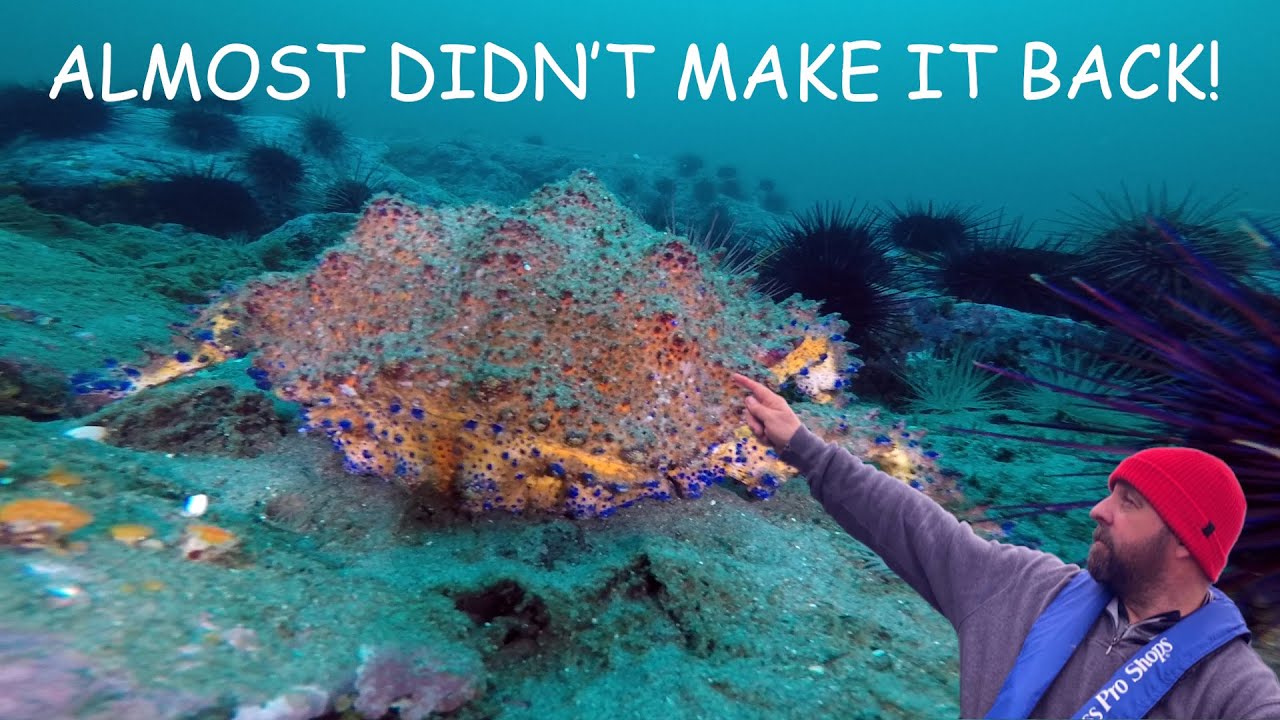 Almost Didn't Make It! - YouTube