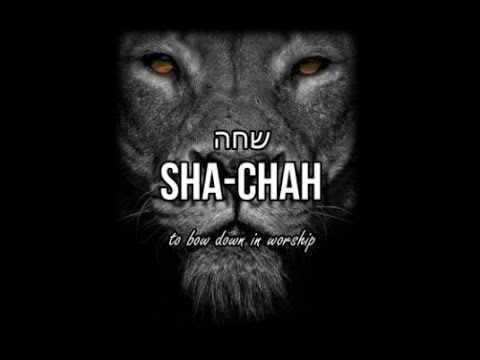 SHACHAH - BOW DOWN TO WORSHIP - YouTube