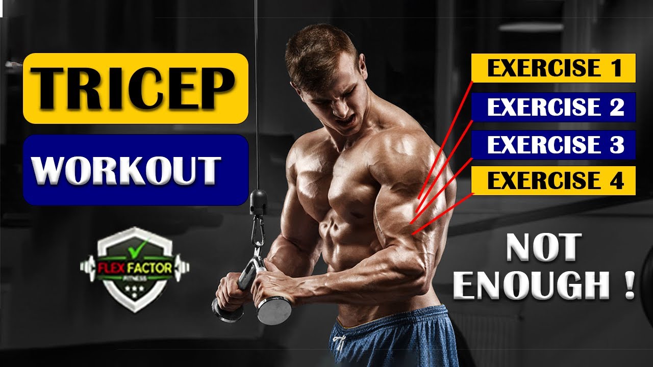 Sculpt Strong, Defined Arms with Bicep and Triceps Workouts - YouTube