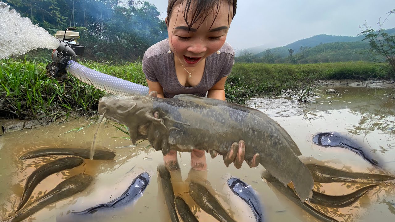 Sexy Girl Uses Large Capacity Pump To Catch Fish In A Longtime Lake ...