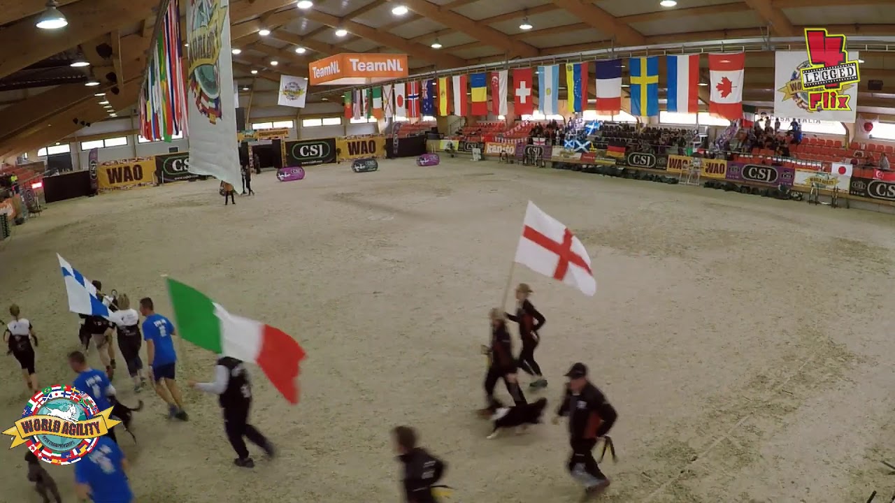 2019 World Agility Open Championships - Saturday Awards - YouTube