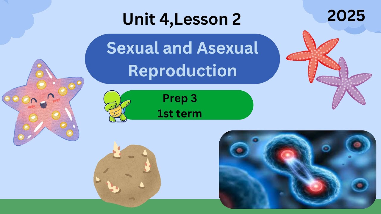 lesson 2 unit 4 (Sexual and Asexual Reproduction) ...... prep 3 - YouTube