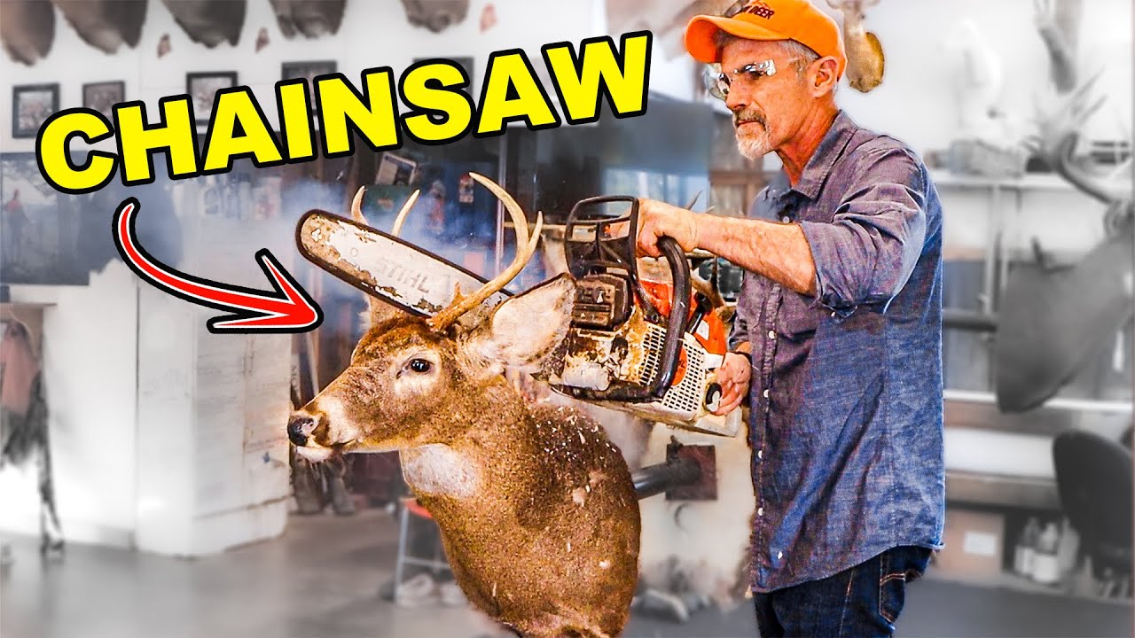 WHAT S INSIDE A TAXIDERMY DEER HEAD YouTube WHAT S INSIDE A TAXIDERMY DEER HEAD YouTube