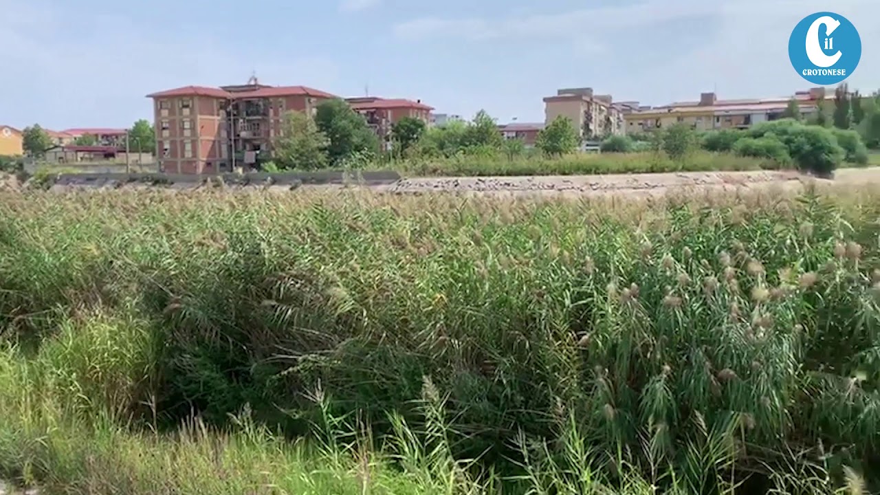 Le condizioni del fiume Esaro - YouTube
