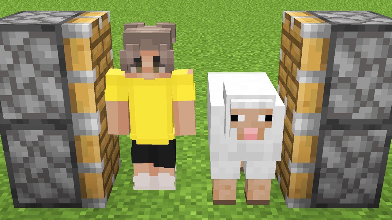 Shady TV + sheep = ??? - YouTube