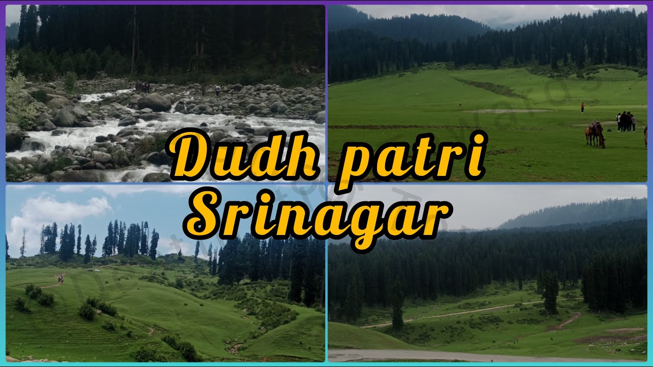 Dudh Patri: Exploring The Valley Of Milk | A Hidden Gem Near Srinagar ...