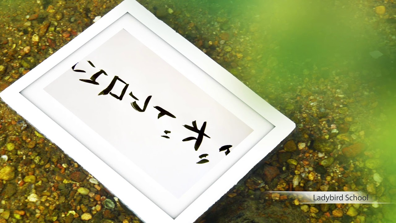 Japanese Day Matsuri - YouTube