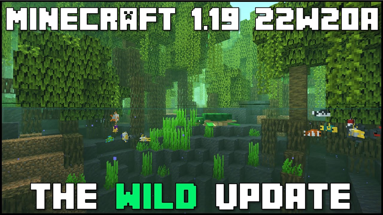 Minecraft 1.19 - Snapshot 22w20a - Waiting For The Snapshot To Release ...
