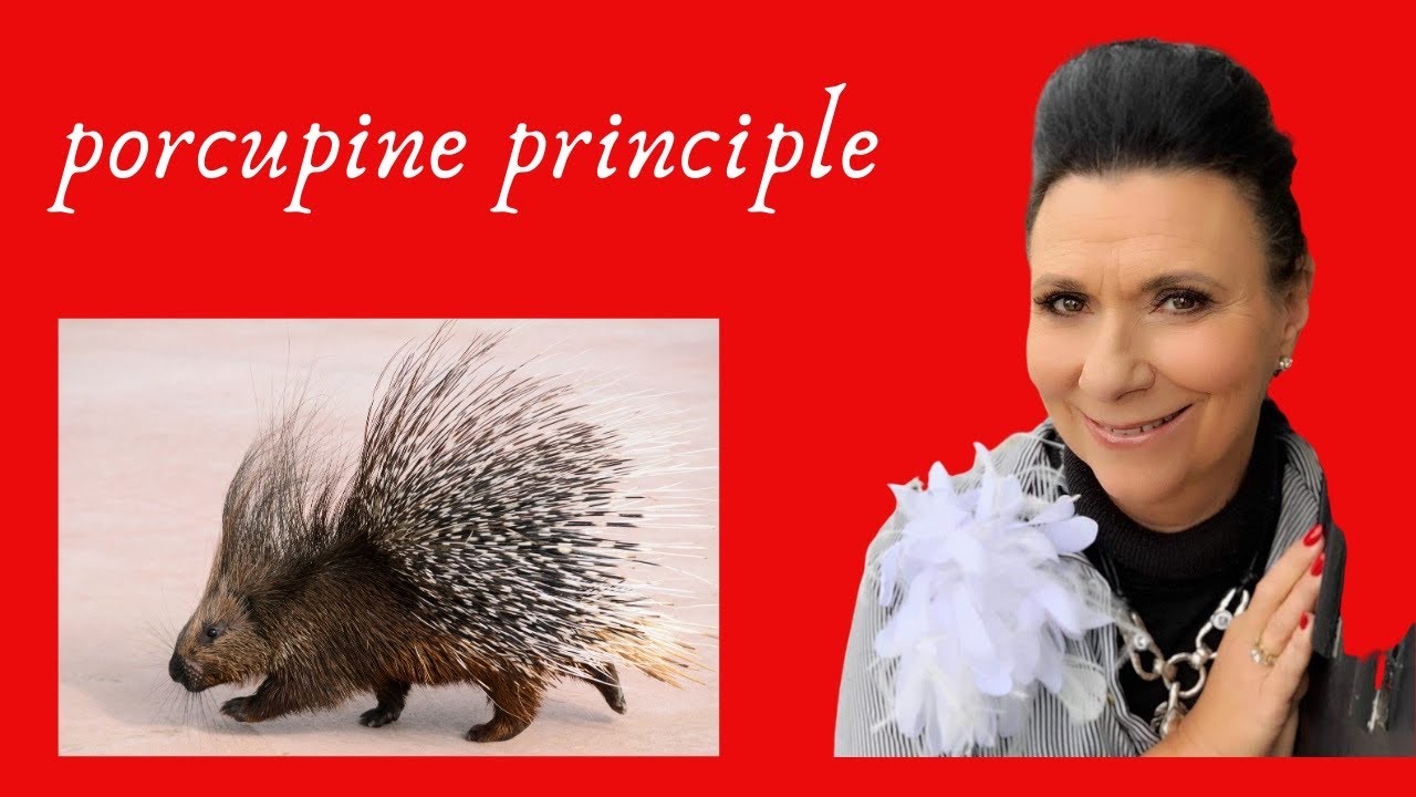 Take 5 with Nanette-Porcupine Principle - YouTube
