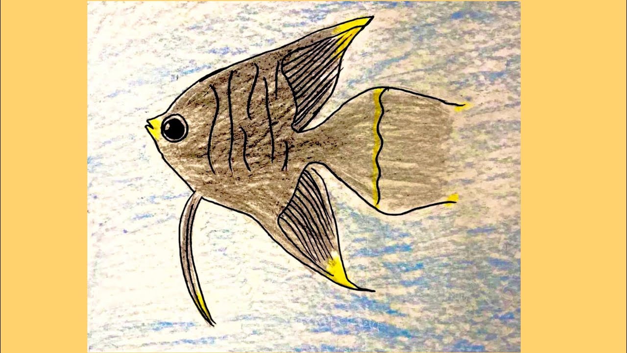 How to draw Rupchanda fish (Step by Step) |THE ART WORLD|..!! - YouTube