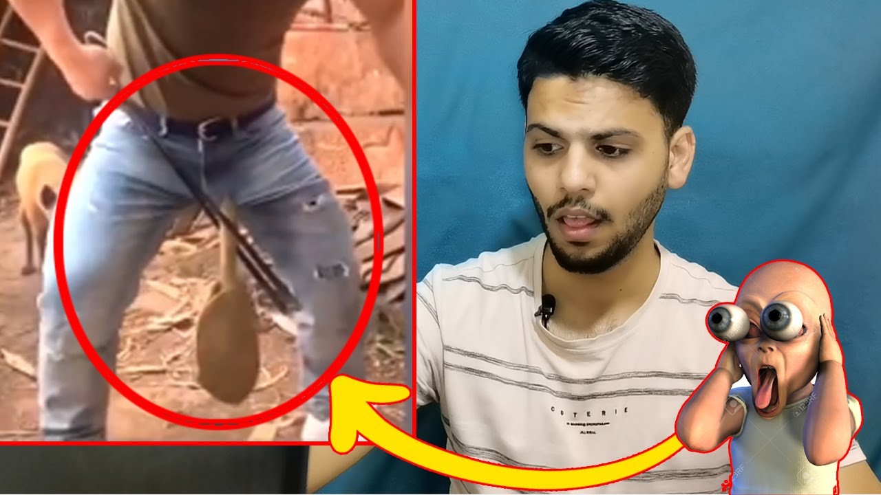 Shahbaz Sharif Khoti Ka Bacha | Shahbaz Donkey | Anonymous Reaction ...