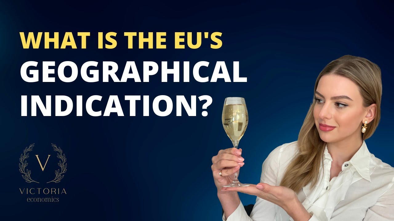 EU Business Guide: How can you benefit from the EU Geographical ...