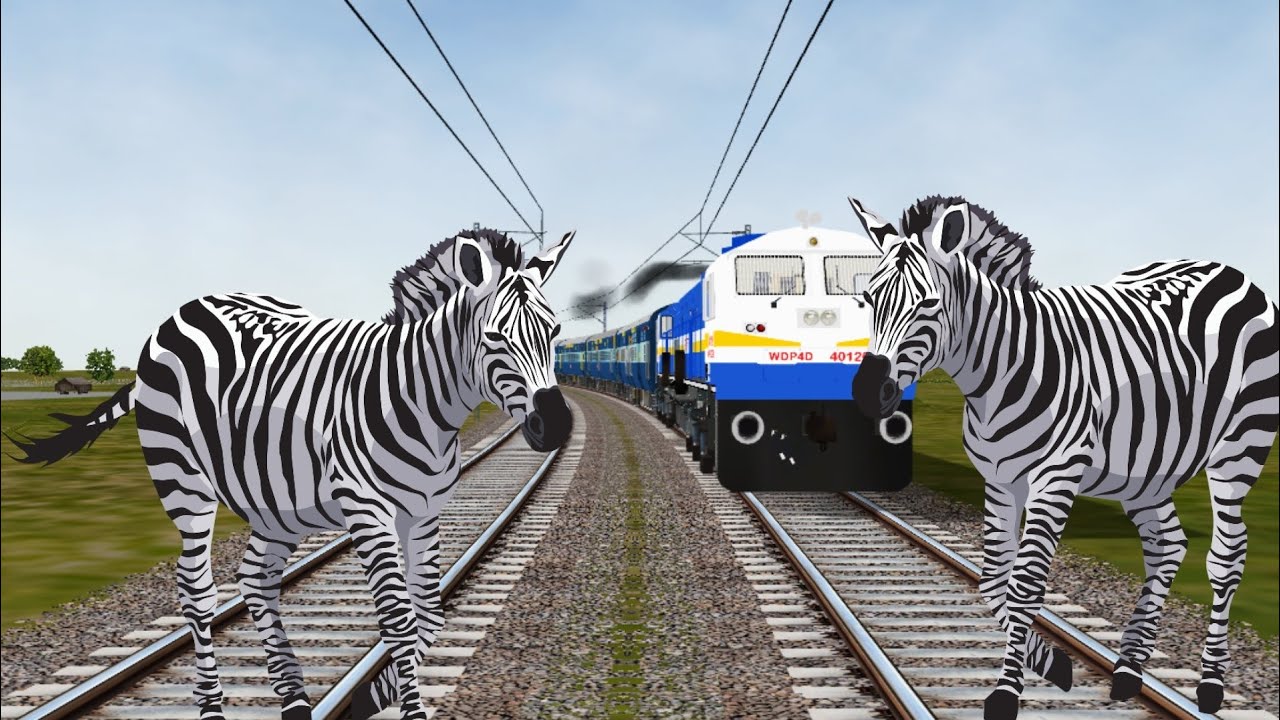 Crazy Zebra at the Track and Stops the Train and Escapes in Train ...