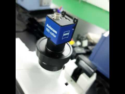 Axiocam 105 color 1000013937 conecter - YouTube