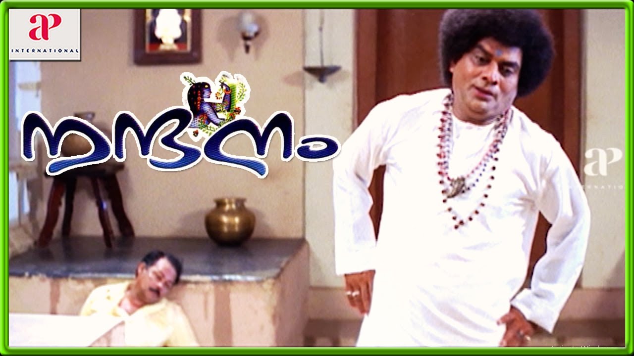 Nandanam Malayalam Comedy | Comedy Scenes | Prithviraj | Navya Nair ...