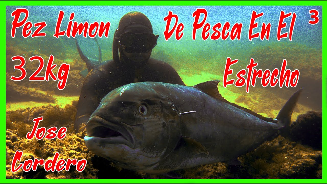 Pez Limón - Serviola 32kg / Jose Cordero / Cap.03 / Pesca Submarina ...