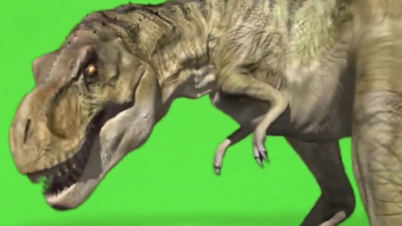 T Rex green screen - YouTube