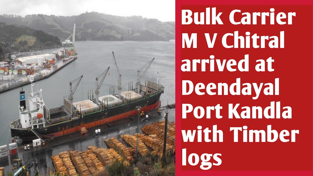 Bulk Carrier MV Chitral arrived at Deendayal Port Kandla with Timber ...