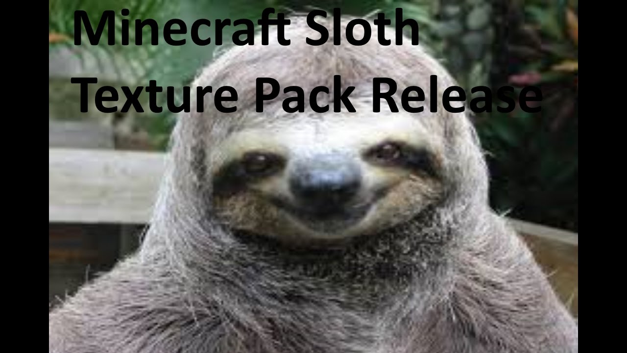 Minecraft Gaming Sloth Texture Pack Release! - YouTube