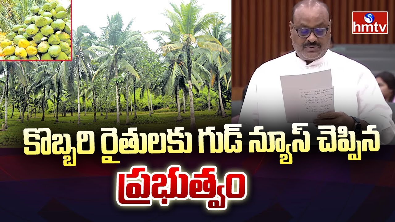 AP Assembly 2024 : కొబ్బరి రైతులకు గుడ్ న్యూస్ చెప్పిన ప్రభుత్వం ...