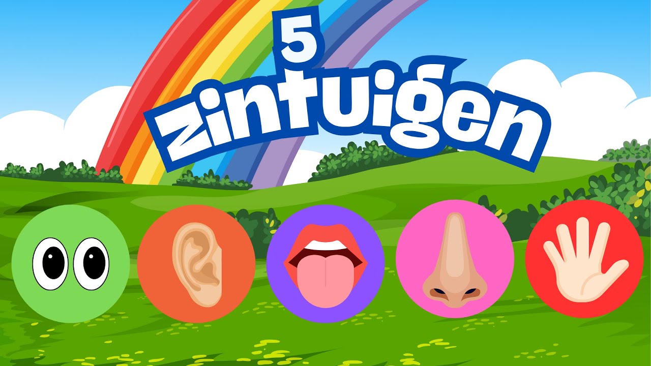 De 5 Zintuigen voor Kinderen | Leer Spelenderwijs - YouTube
