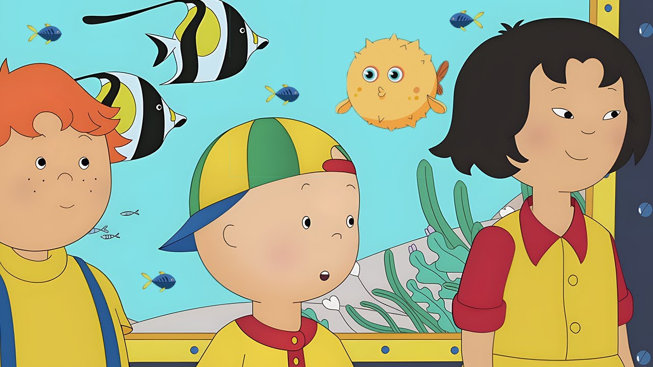 Lass uns ins Aquarium gehen! | Die Neuen Abenteuer von Caillou - YouTube