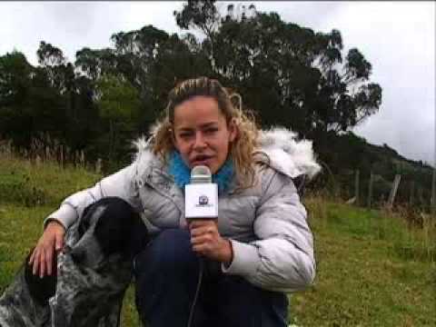 FAMOSOS Y SUS MASCOTAS VICKY RUEDA - YouTube