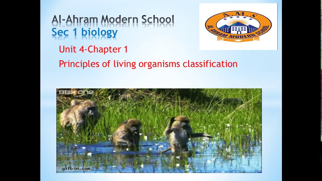 Principles of classification - YouTube