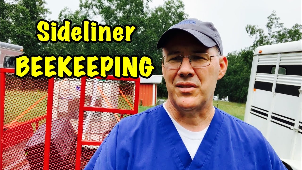 SIDELINER BEEKEEPING - Never enough time! Open Feeding Bees - YouTube