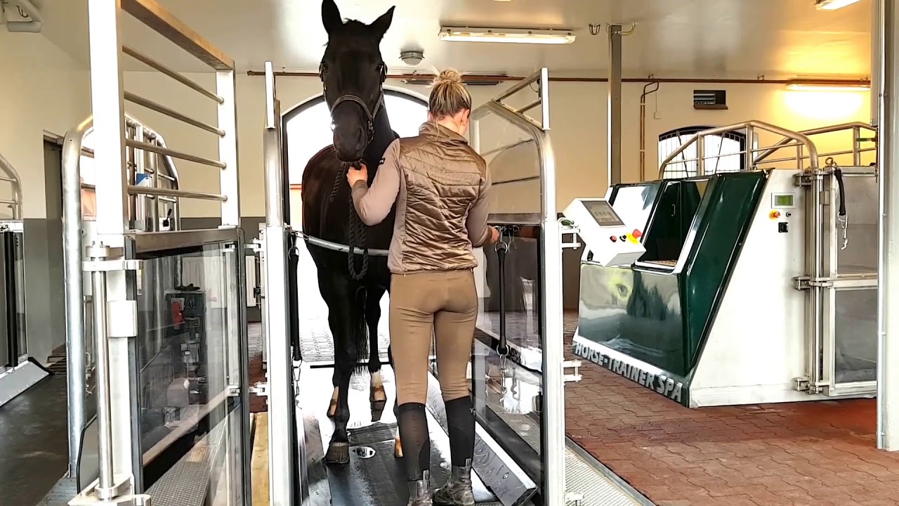 Lövsta Horse Fitness - invigning - YouTube