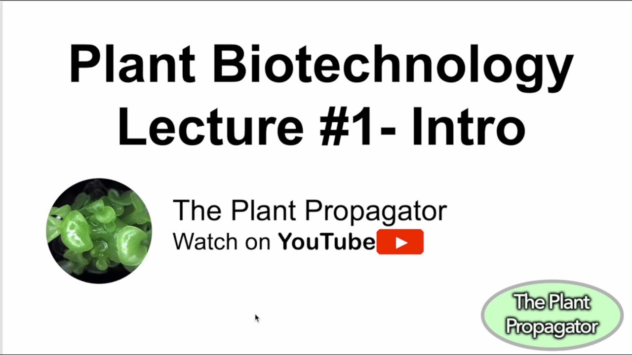 Intro - Plant Biotechnology - Lecture 1 - YouTube