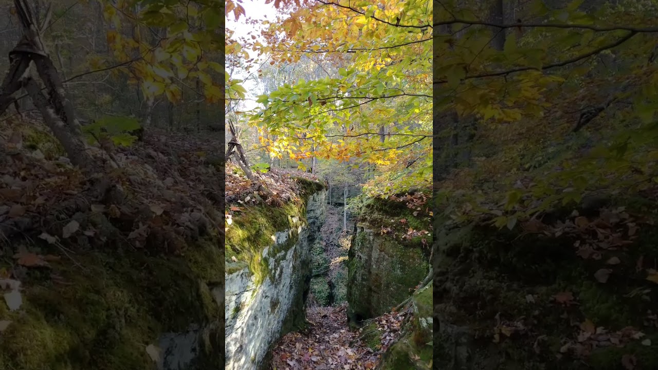 The way down at Fern Cliff Nature Preserve - YouTube