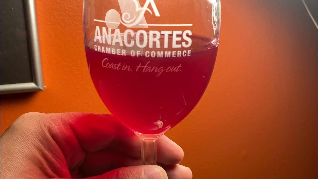 Transferred Wine to Secondary fermentation/ Steuben Grapes - YouTube