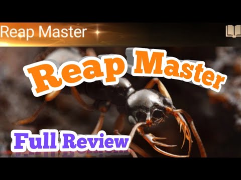 The Ants Underground Kingdom, Review Reap Master, Tips Pemimpin Semut ...