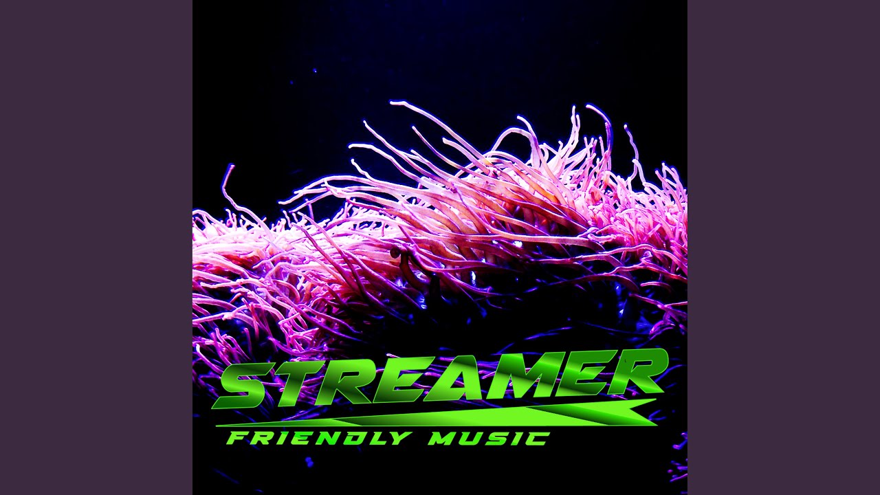 All Day Streaming Music - YouTube Music