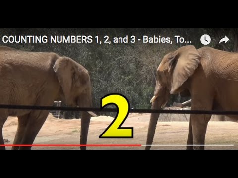 COUNTING NUMBERS 1, 2, and 3 - Babies, Toddlers, Preschool - YouTube