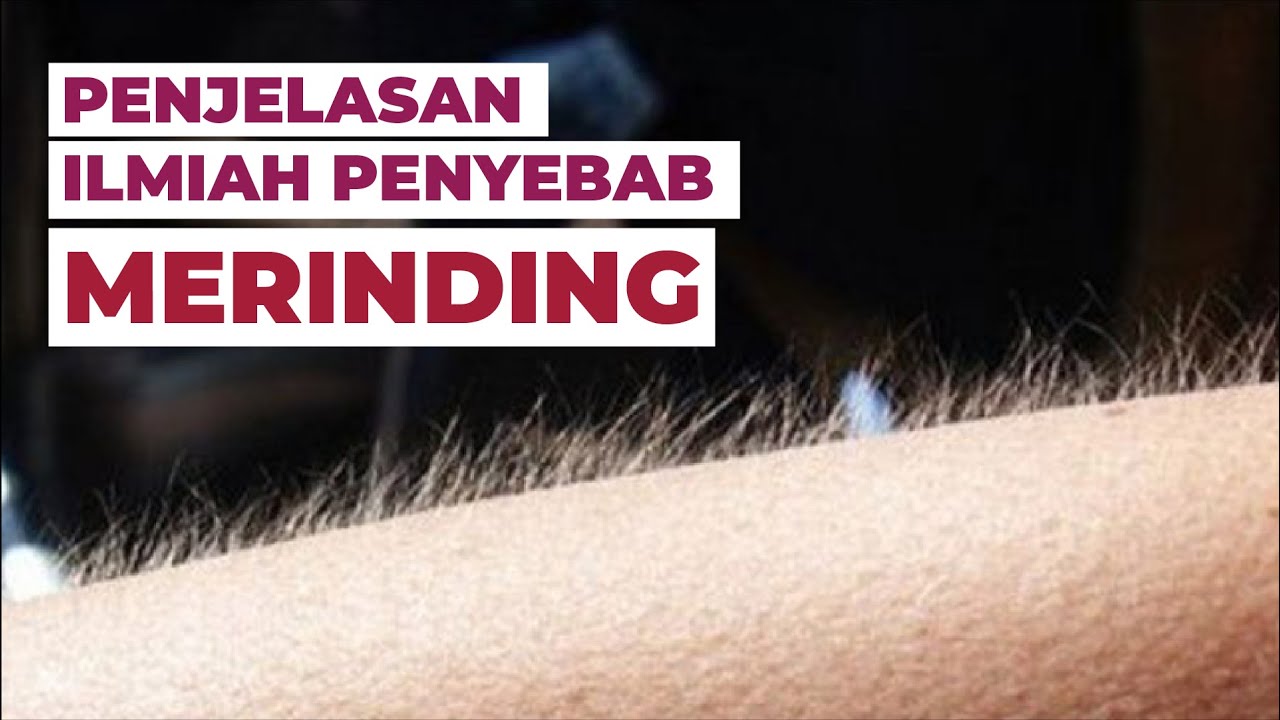 Penjelasan Ilmiah Tentang Penyebab Merinding #temansains - YouTube