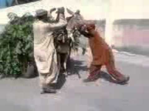 Fun in Malak Mala - YouTube
