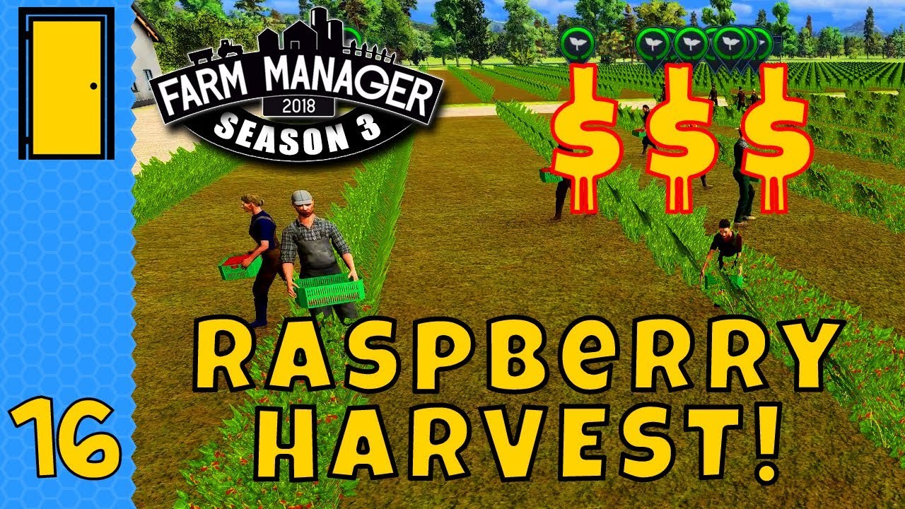 RASPBERRY HARVEST! $$$! in Farm Manager 2018! - Season 3 Part 16 - Let ...
