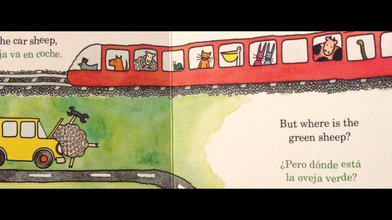 Where is the Green Sheep Mem Fox - YouTube